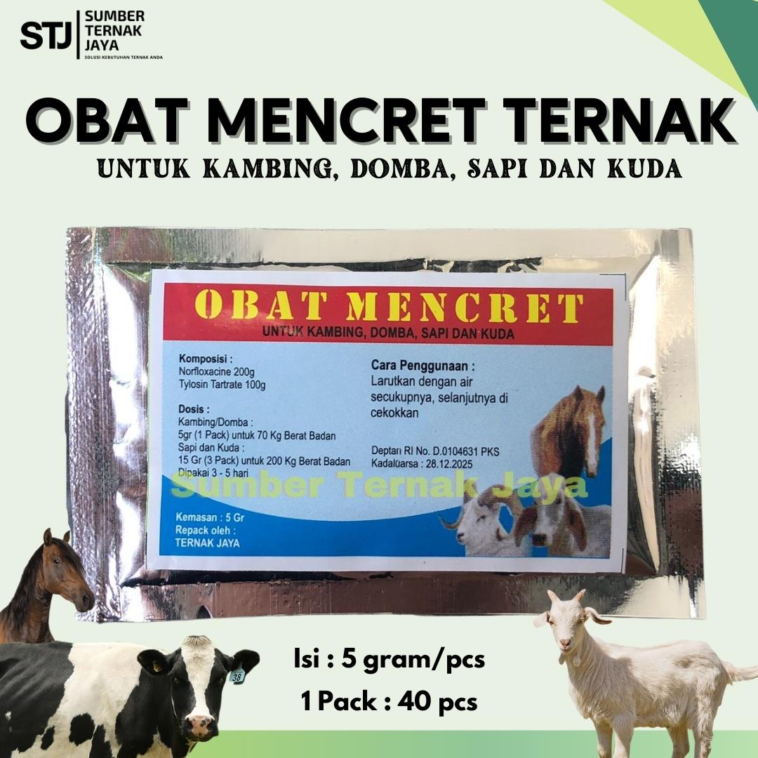 OBAT MENCRET Hewan Ternak Kemasan 5 Gram untuk Kambing, Domba, Sapi dan ...
