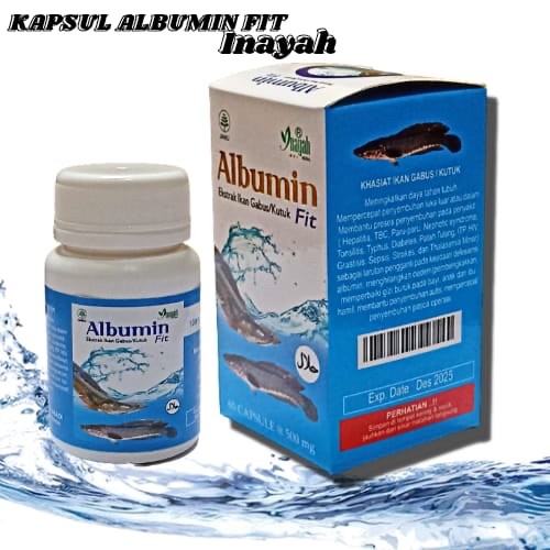 Albumin Fit - Kapsul Ekstrak Ikan Gabus obat luka dalam dan operasi ...