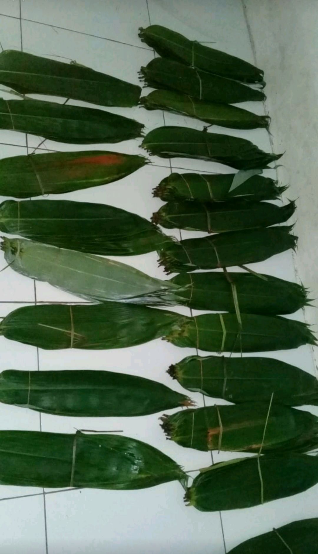 daun bambu daun bacang daun bakcang daun bungkus (harga untuk 20 lembar ...