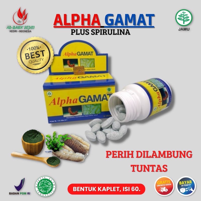 Alpha Gamat - (Teripang Emas) Plus Spirulina Addawa Herbal Multikhasiat Obat Nyeri Otot Dan ...