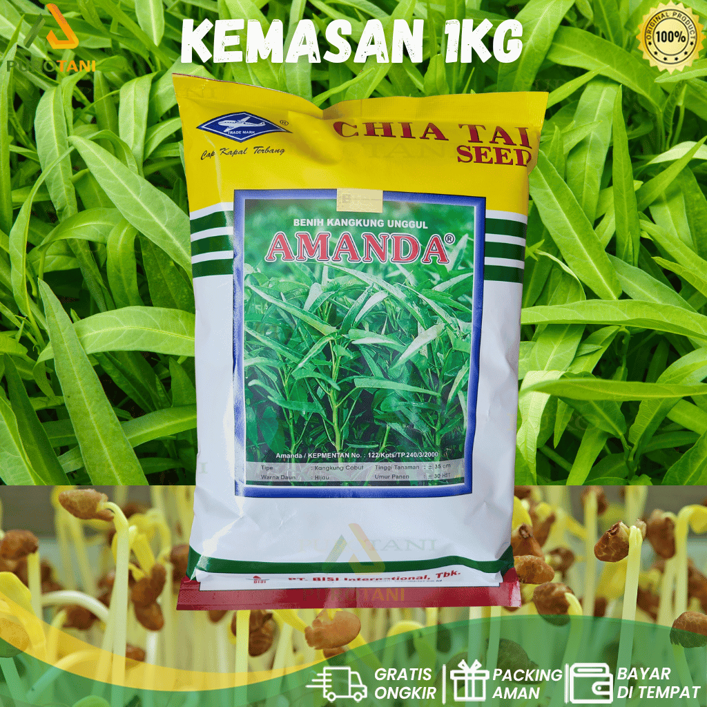 Benih Kangkung Unggul BISI Amanda Chia Thai Seed 1 Kg Kapal Terbang ...