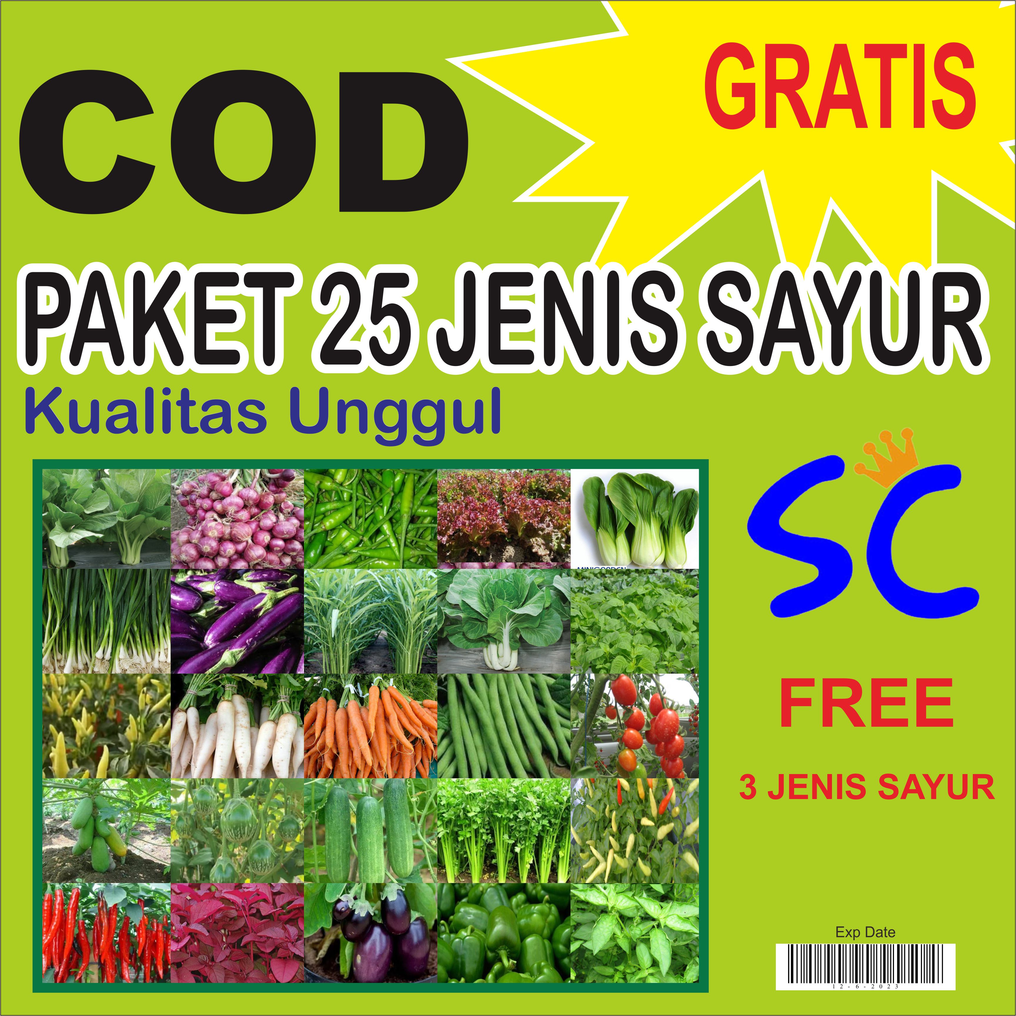 NEW PAKET HEMAT BERKEBUN 25 JENIS SAYURAN GRATIS 3 JENIS SAYUR | Lazada ...