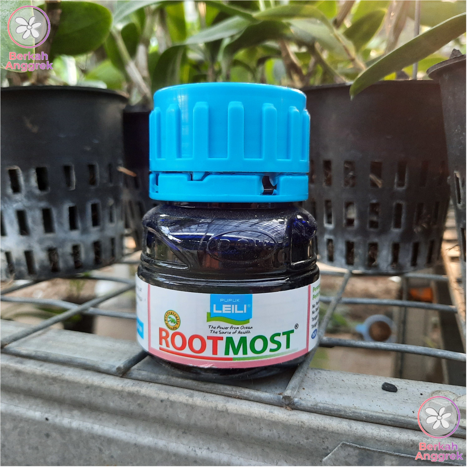 Rootmost 100 ml Booster Akar | Lazada Indonesia
