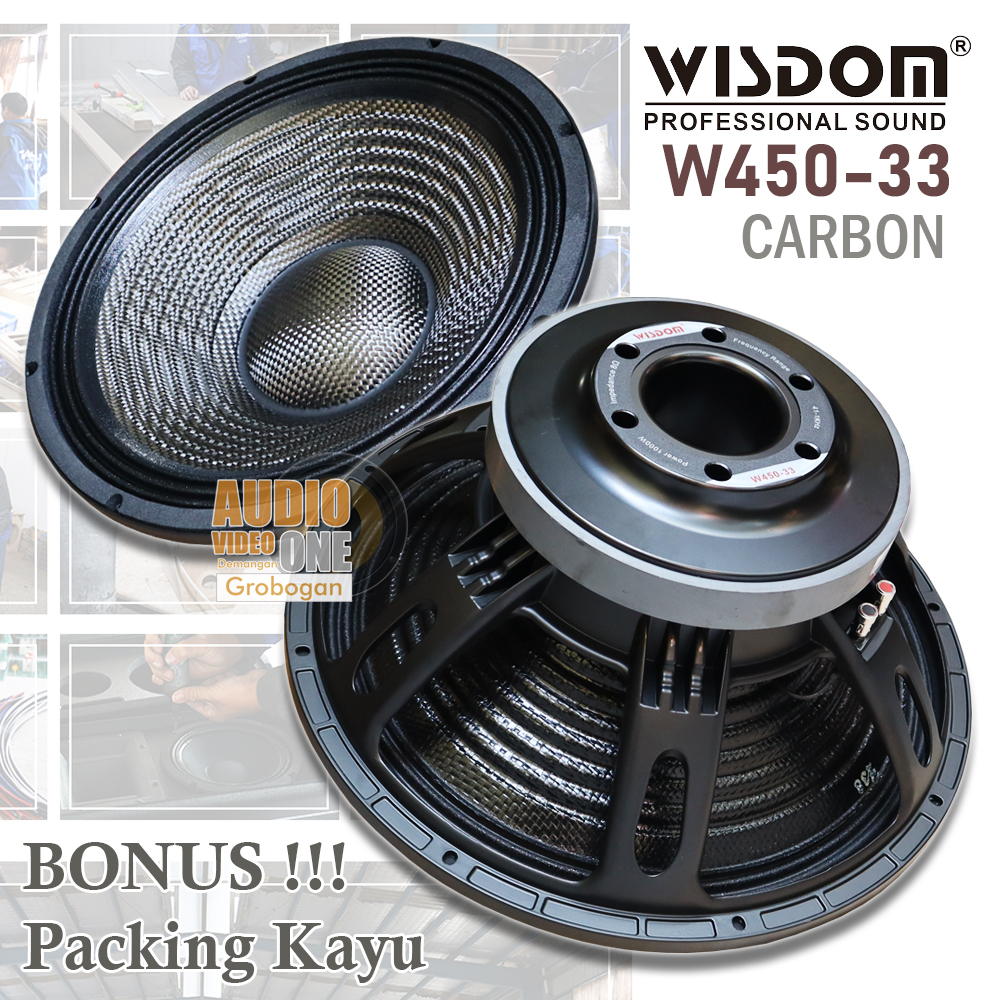 Speaker Wisdom W450-33 Daun Carbon Transducer 18 Inch Low Sub Bonus ...