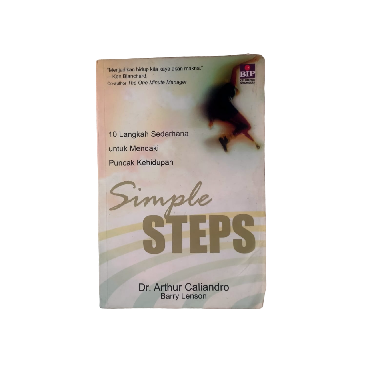 BUKU 10 LANGKAH SEDERHANA UNTUK MENDAKI PUNCAK KEHIDUPAN SIMPLE STEPS ...