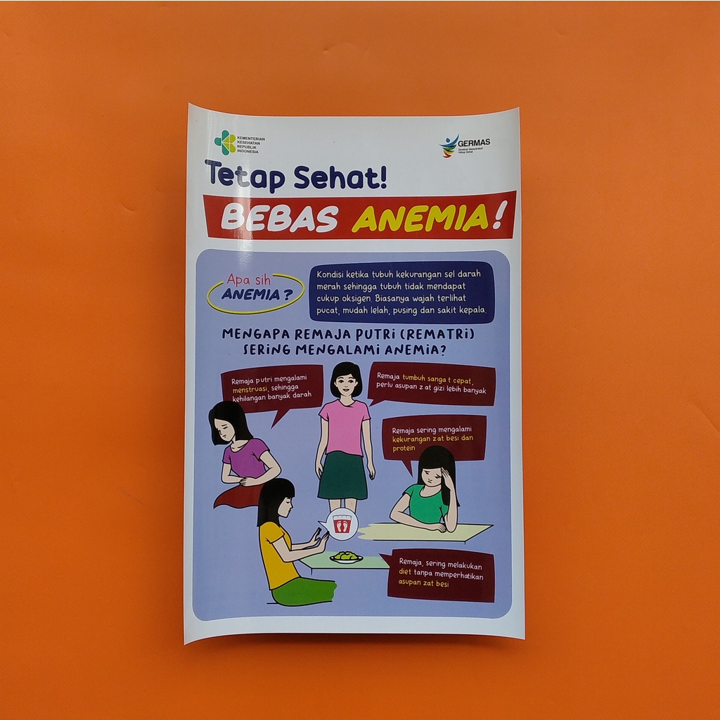 Terbaru !!! Poster Anemia Remaja : Remaja Sehat Bebas Anemia | Lazada ...