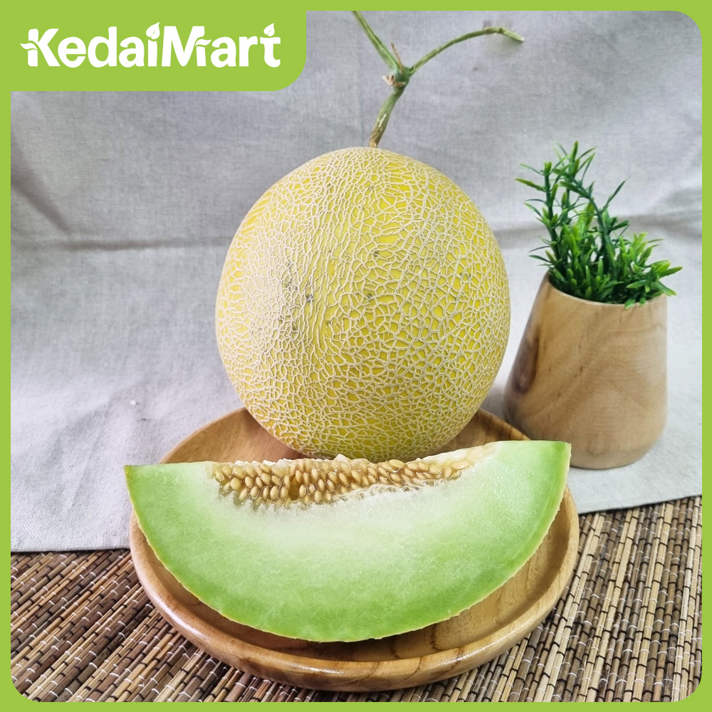 Melon Inthanon 2 - 3 Kg | Lazada Indonesia