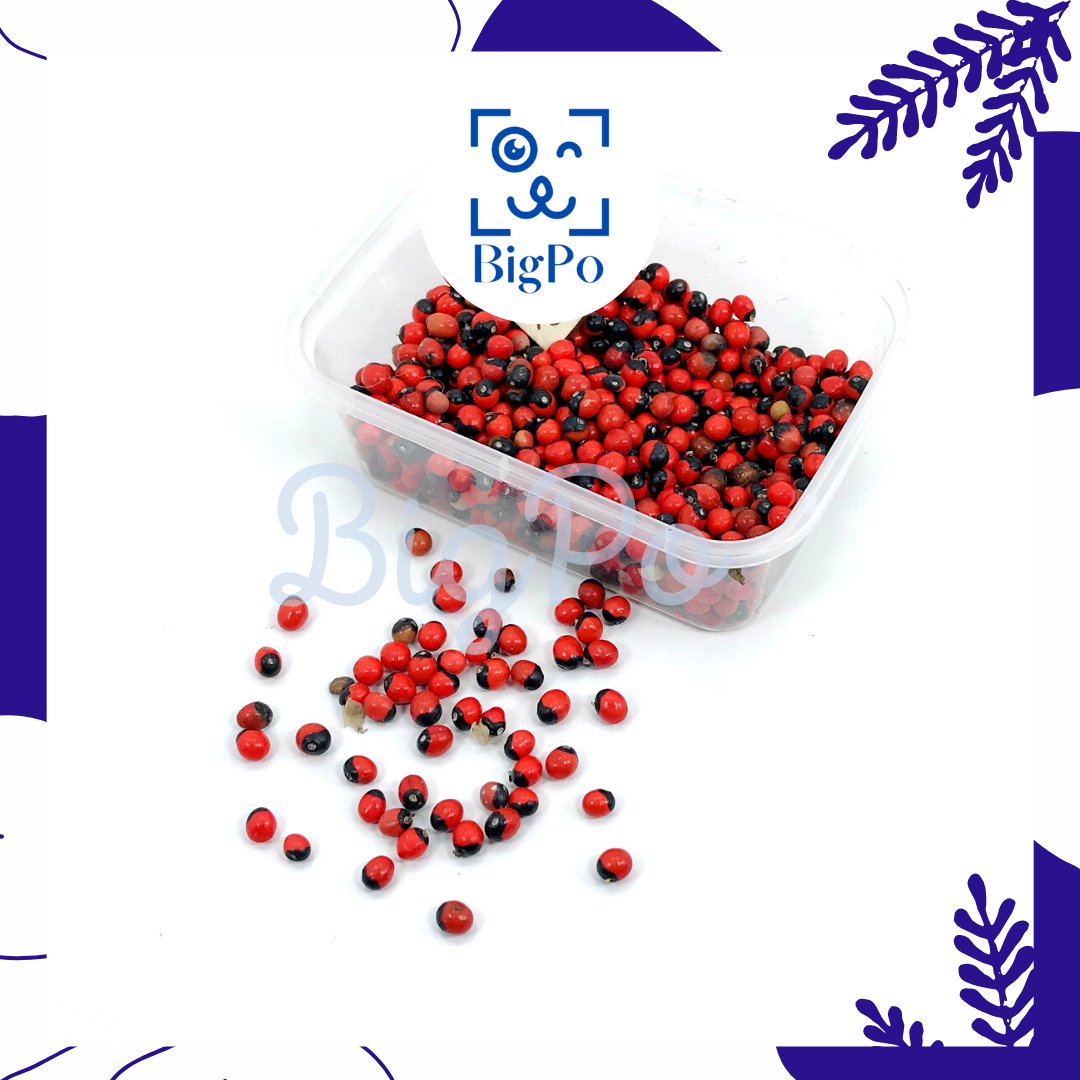 (20 biji) Kerajinan Kolase Biji Saga Merah Hitam Saga Telik Jali Barley ...