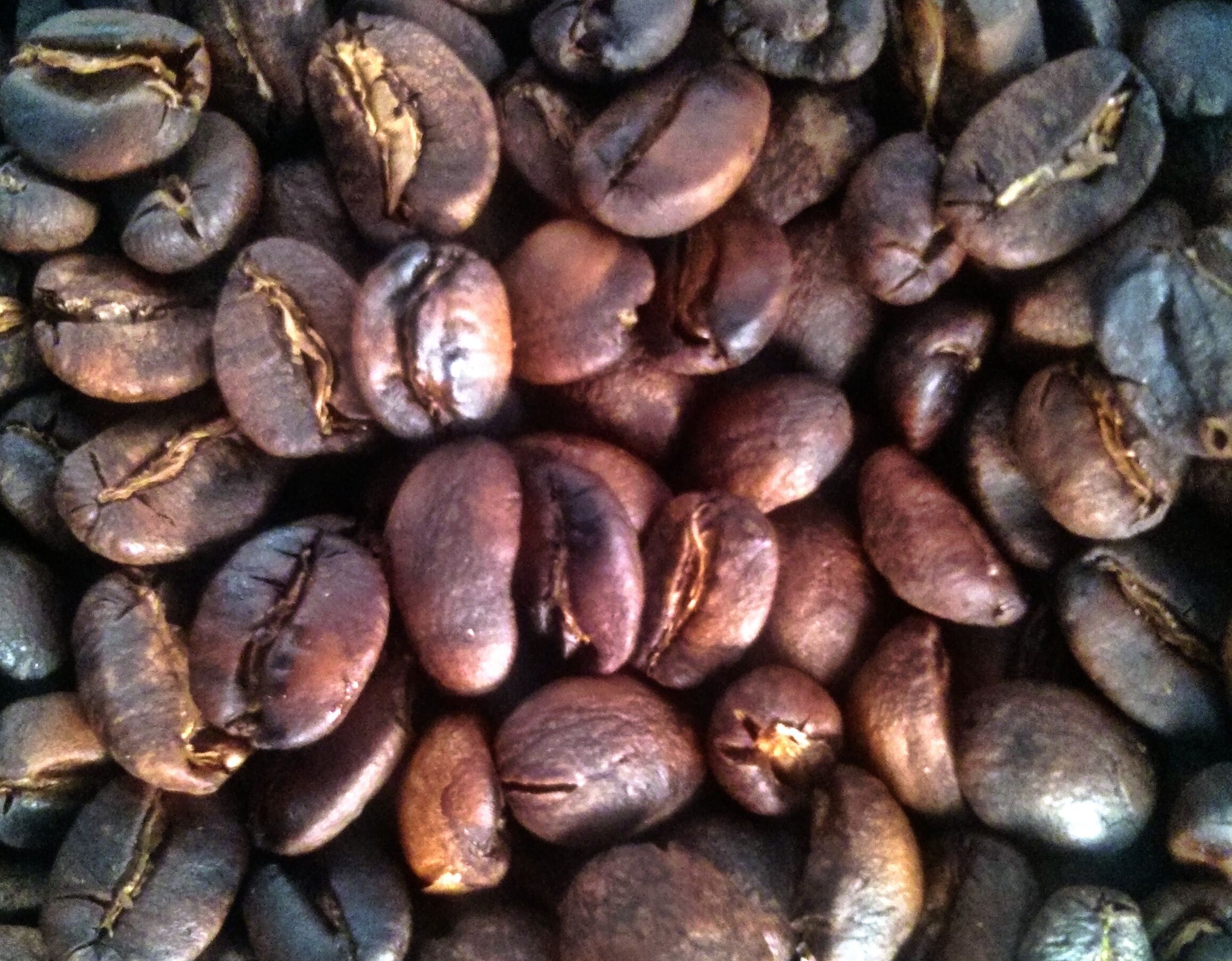 Biji Kopi Robusta 1 kg Medium / Biji Kopi Bengkulu Wangi / Kepahiang ...