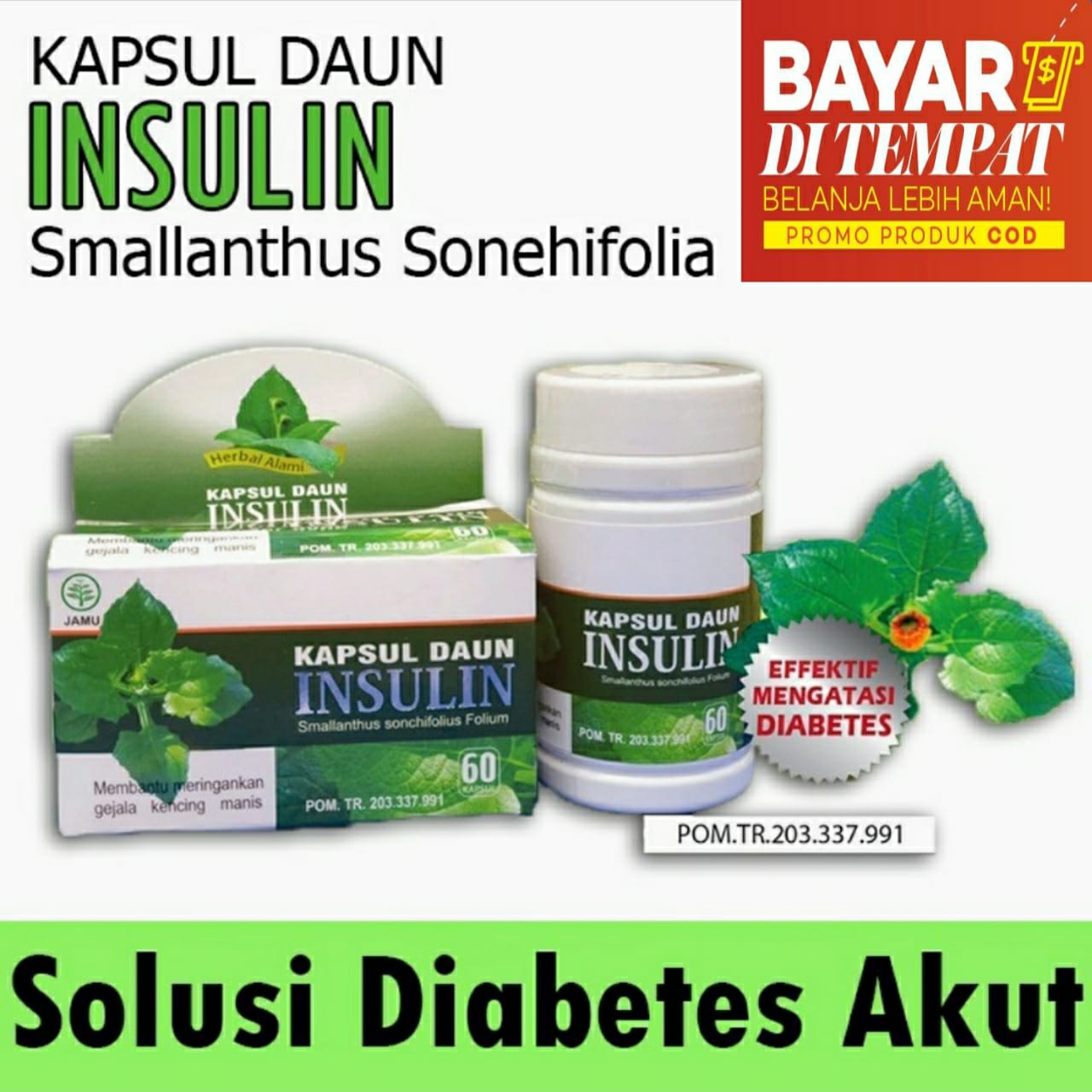 Obat Segala Macam Penyakit Kapsul Daun Insulin Amanah Herbal Original ...