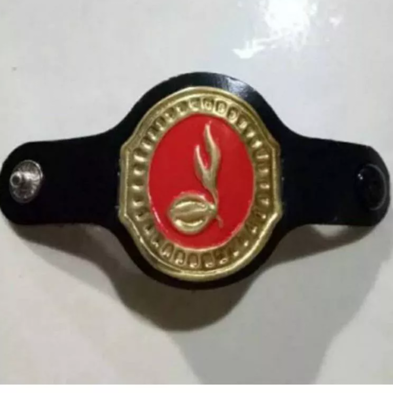 dasi hasduk pramuka laki laki perempuan sekolah sd smp sma jumbo warna ...