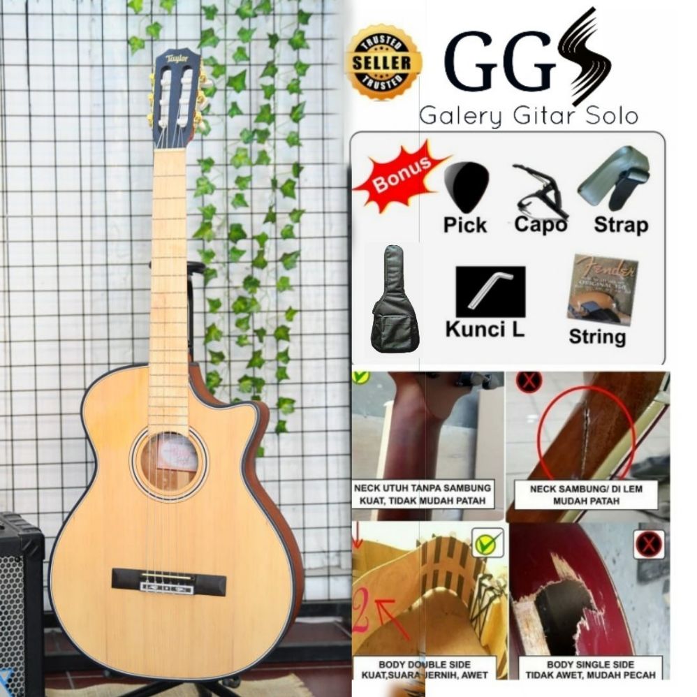 gitar akustik Taylor nilon / gitar nilon /gitar klasik | Lazada Indonesia