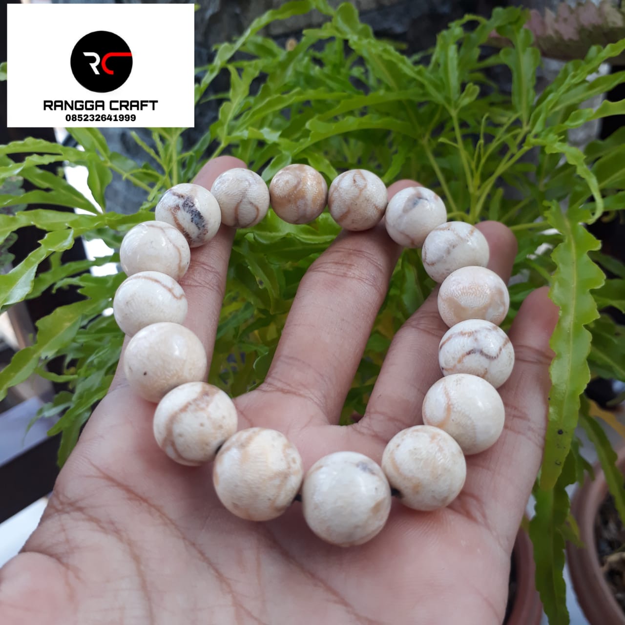 Gelang batu marjan putih original R 80 | Lazada Indonesia