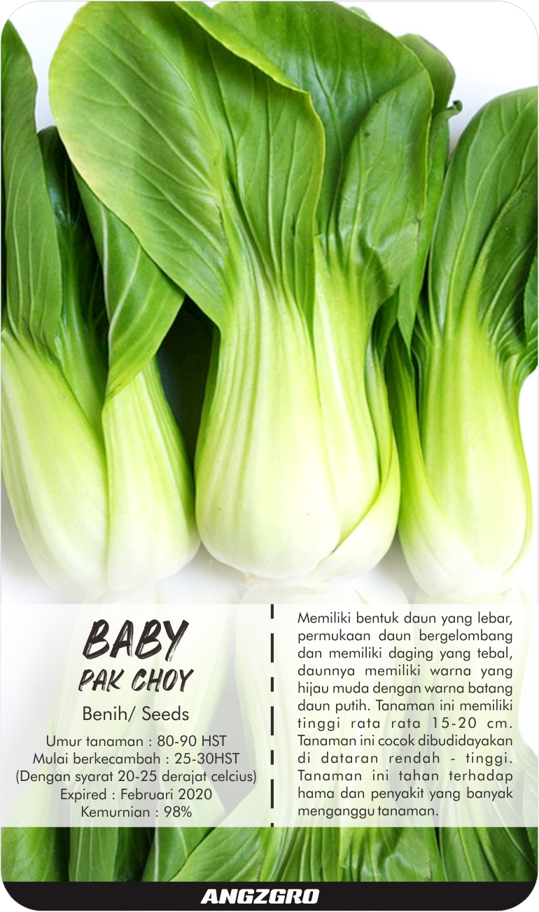 Benih Sayur Baby Pak Choy 1000 Seeds | Lazada Indonesia