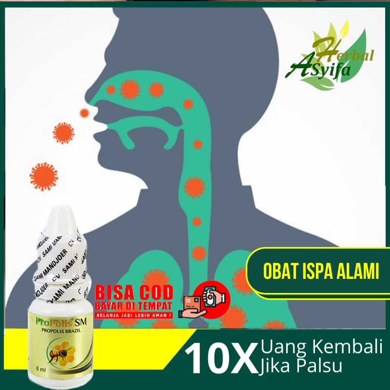 Propolis SM Obat ISPA Alami, Obat Infeksi Saluran Pernafasan Akut ...