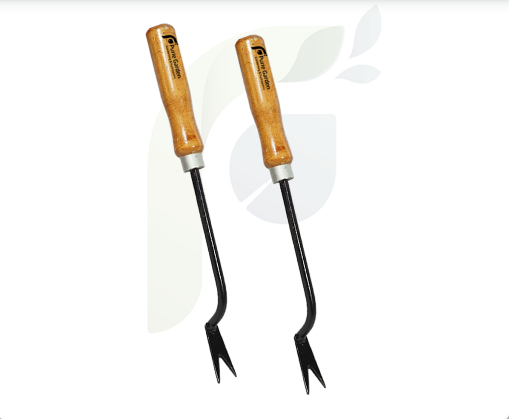 Alat Pencabut Rumput | Lazada Indonesia