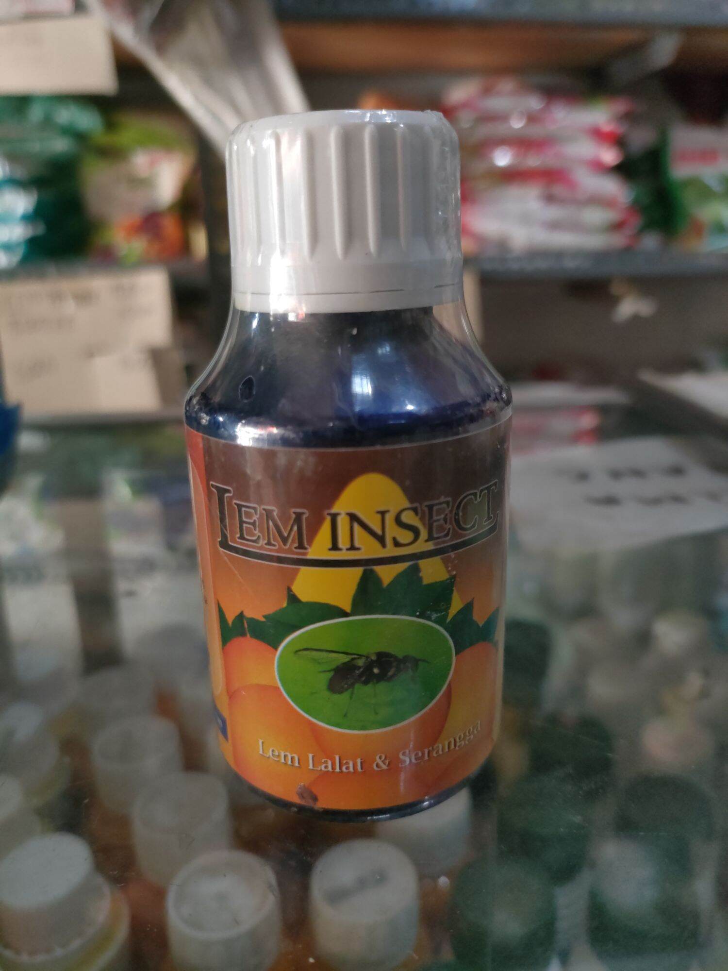 Pembasmi Lalat Buah Lem Lalat Lem Insect 75 ml | Lazada Indonesia
