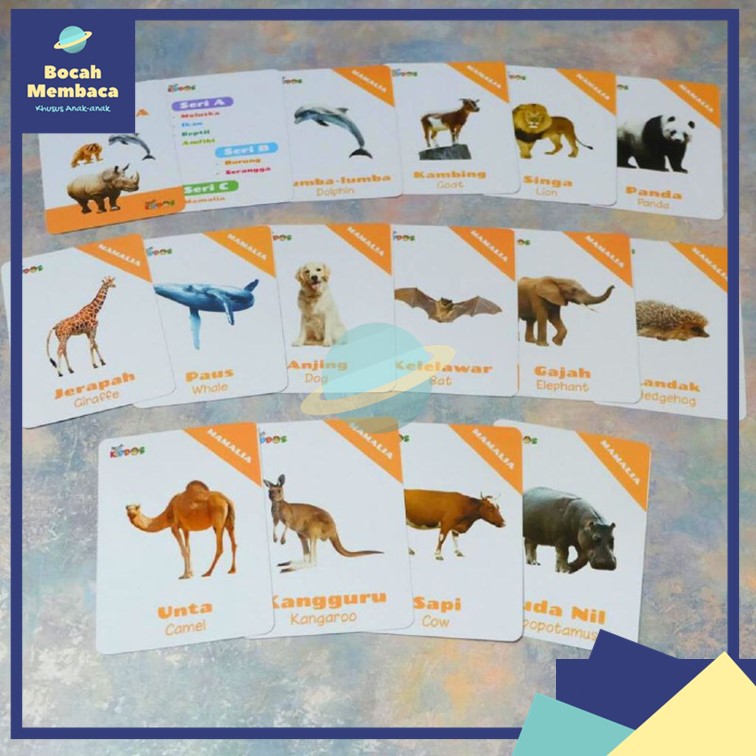 Flash Card Smiling Kiddos Flashcard Mamalia Edukasi Balita | Lazada ...