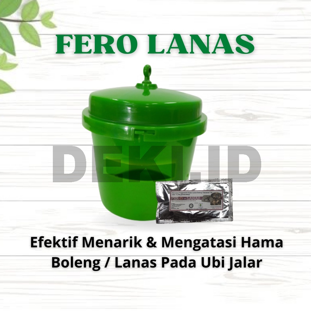 Ferolanas Feromon Pengendali Hama Boleng Tanaman Umbi Ubi Jalar Fero ...