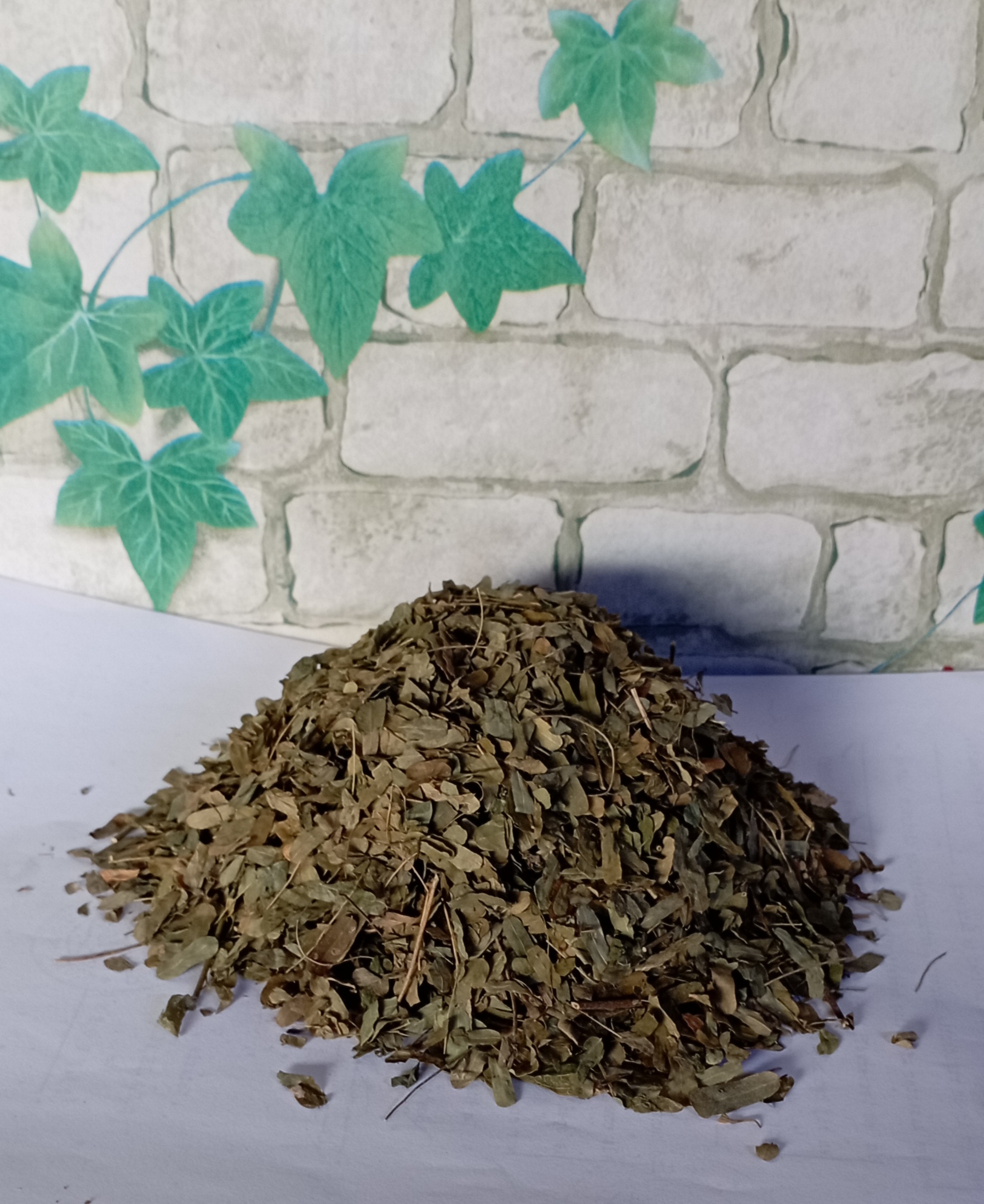 jamu herbal daun saga , daun saga kering , jamu tradisional, obat batuk ...