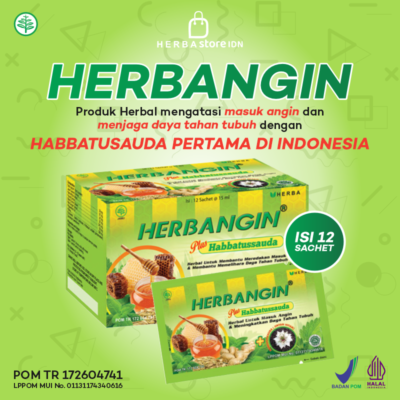 Herbangin Plus Habbatussauda - 12 pcs | Lazada Indonesia