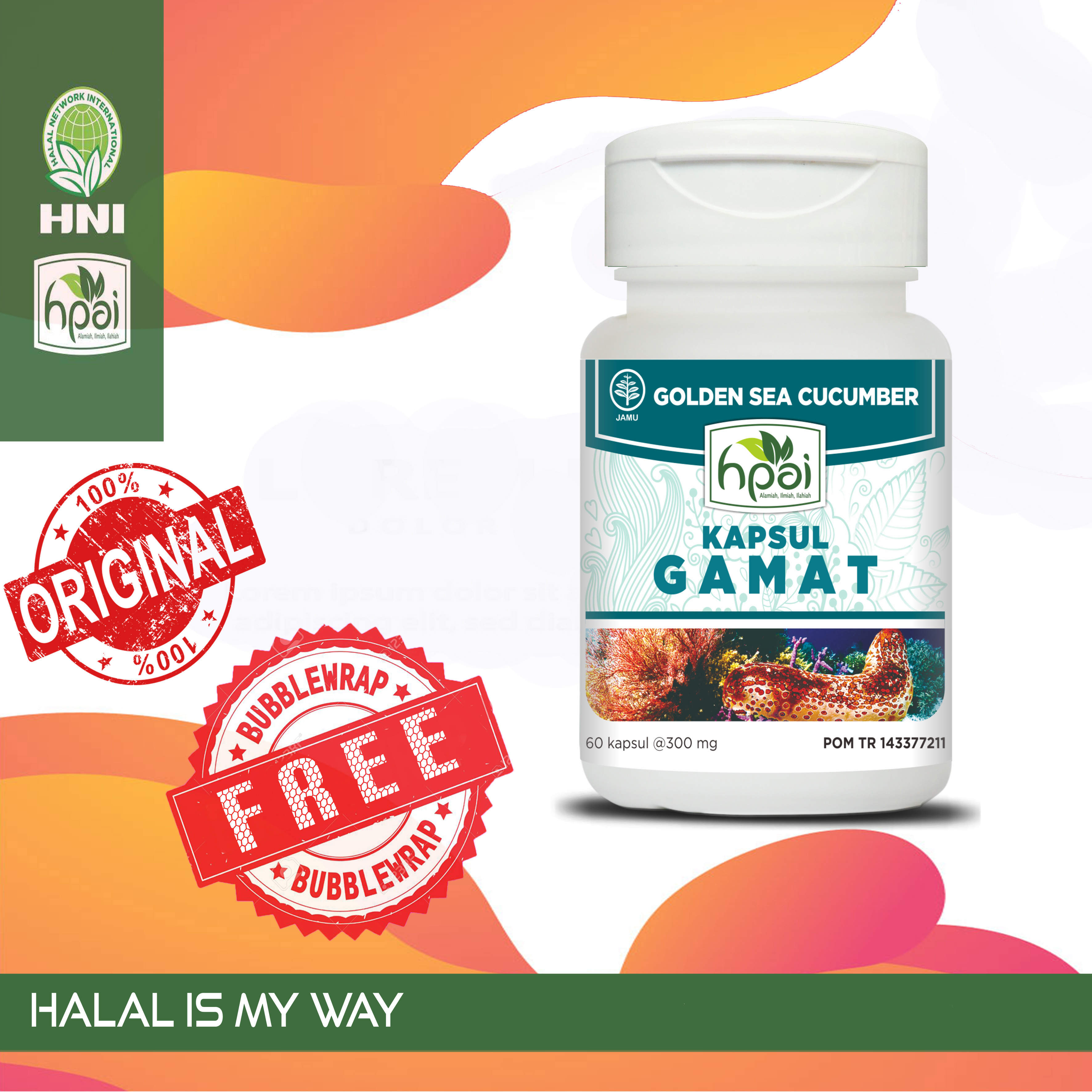 GAMAT KAPSUL HNI HPAI | Ekstrak Teripang Emas | Herbal Untuk Nyeri ...