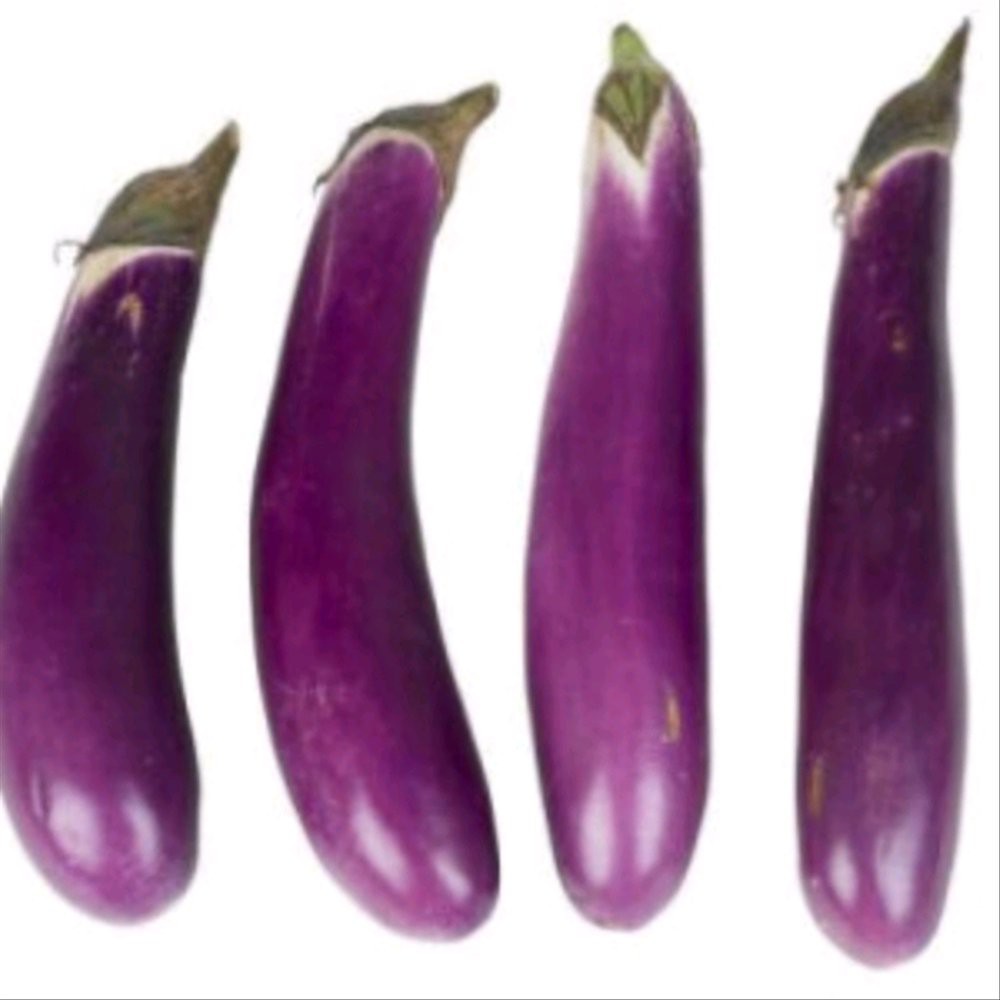 Isi 100 Biji Terong Ungu Seeds-Benih-biji | Lazada Indonesia