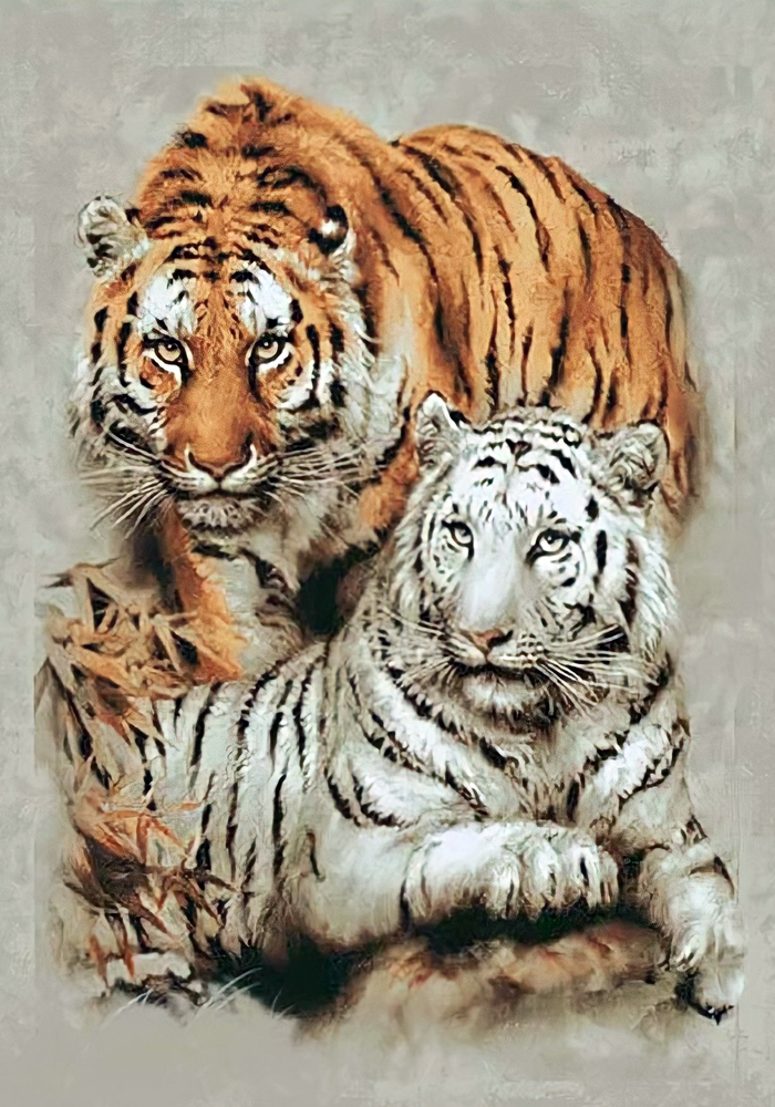 Hiasan Dinding Poster Gambar Harimau Xtra Jumbo Besar Best seller ...