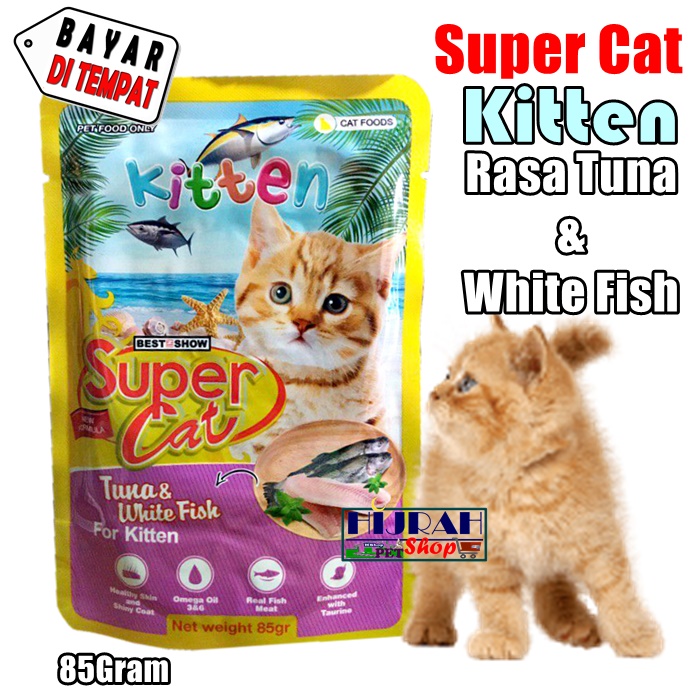 Makanan Kucing Makanan Anak Kucing Basah Makanan Kitten Kucing Kitten ...