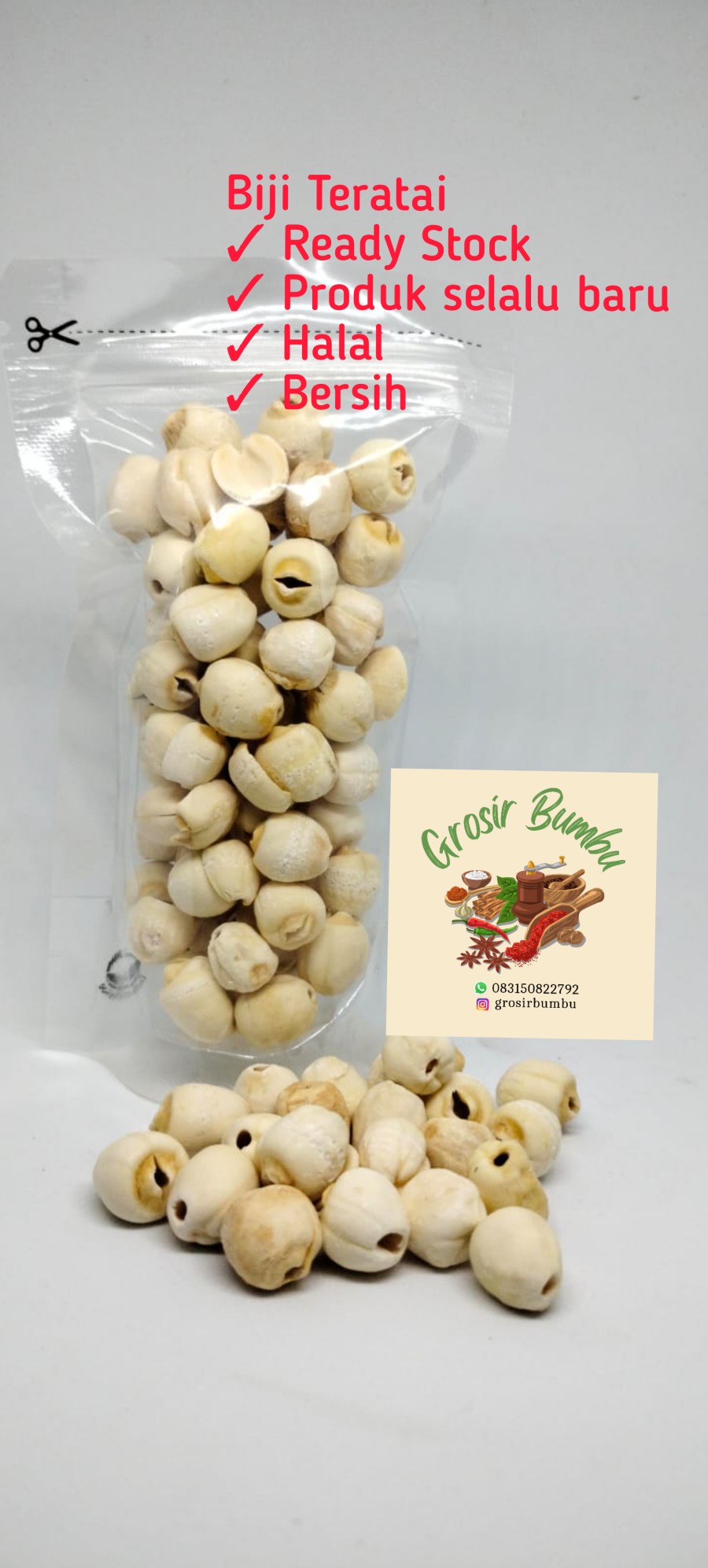 Biji teratai / Lian ci / Lotus seed 1KG | Lazada Indonesia
