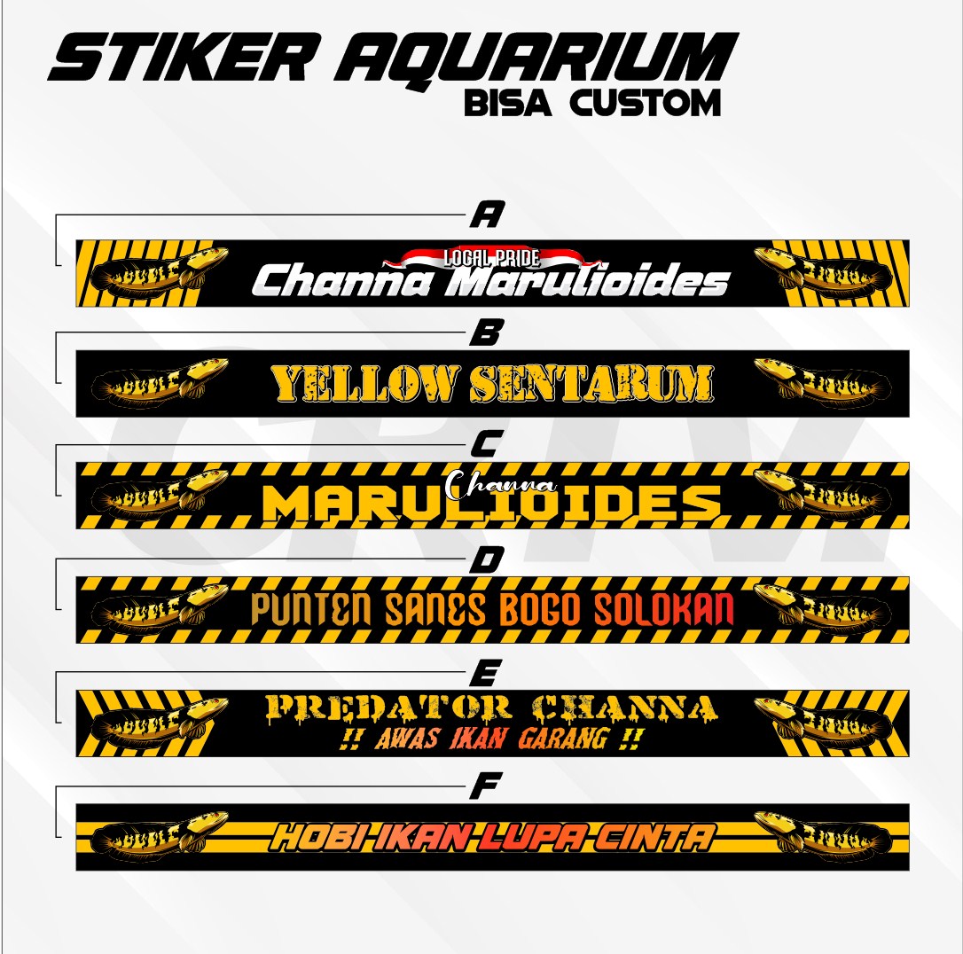 Stiker Aquarium Channa Marulioides Channa Lovers Yellow Sentarum ...