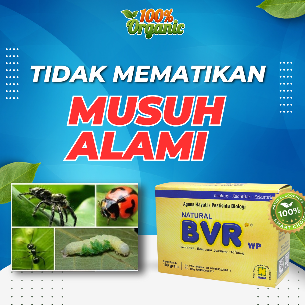 Pestisida Pengendali Hama Tanaman100 grm Pengendali Hama Wereng Coklat ...