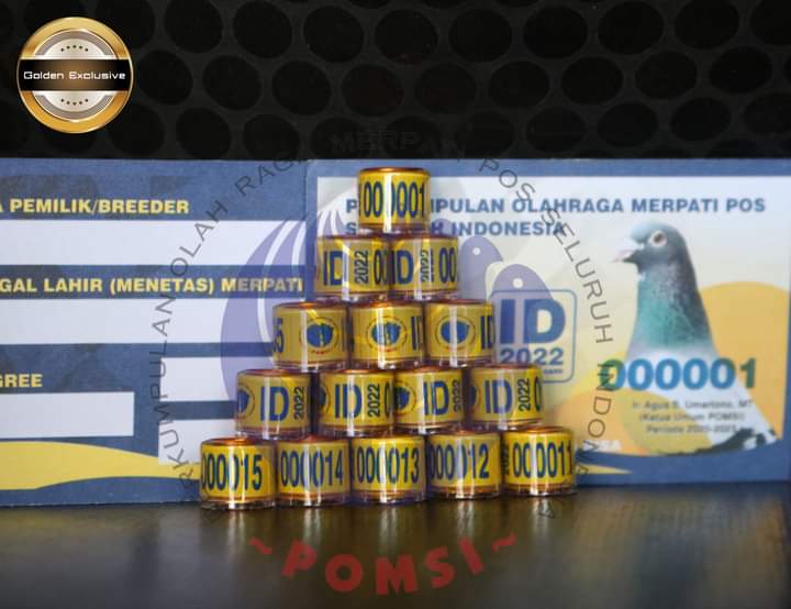 Ring ID 2022 POMSI Resmi | Lazada Indonesia