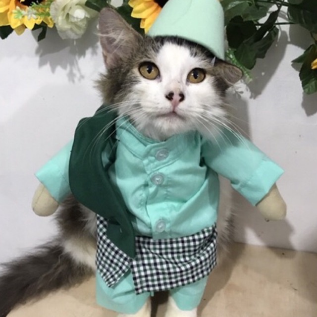 Baju Kucing karakter pak Ustad | Lazada Indonesia
