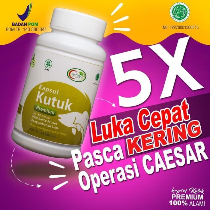 KAPSUL KUTUK PREMIUM 5x Cepat Sembuh - Ekstrak Ikan Gabus Pengganti ...