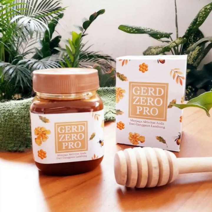 Gerd Zero Pro - Herbal Asam Lambung | Lazada Indonesia