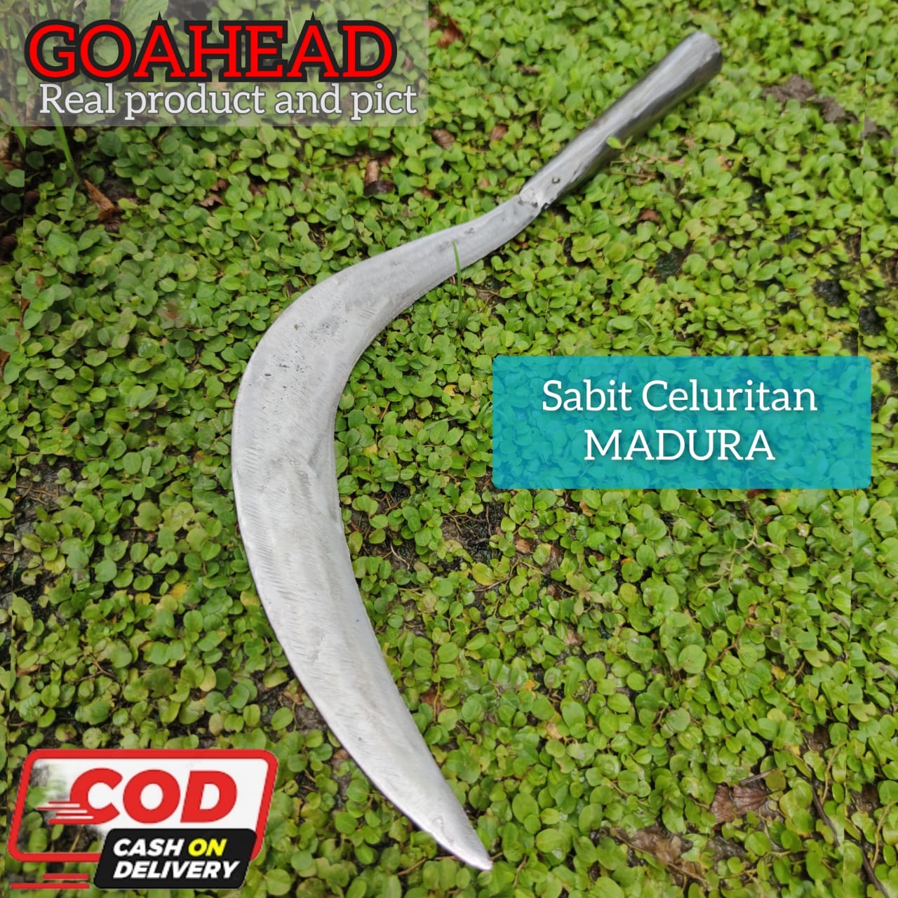 ( PROMO ) Sabit Cluritan Madura Baja Putih Super Tajam Gagang Besi ...