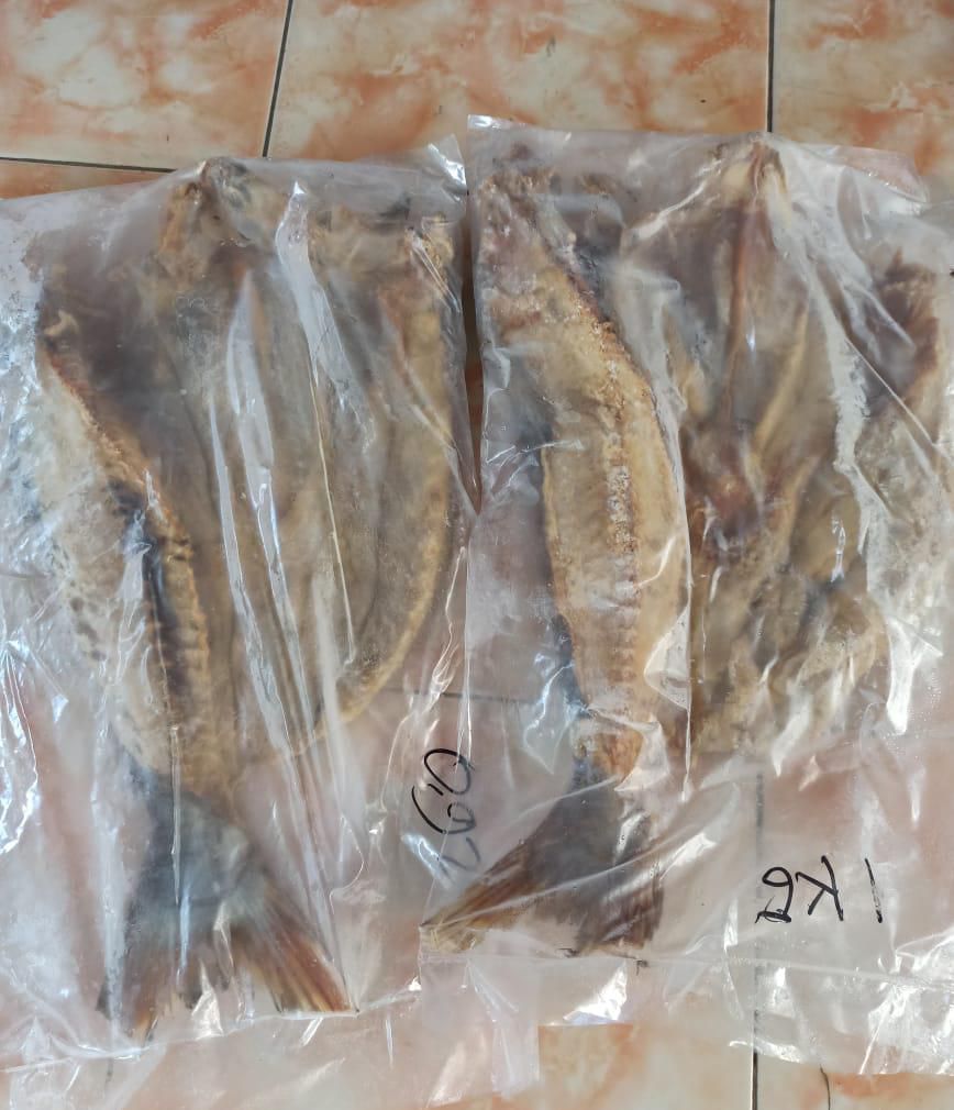 IKAN ASIN JAMBAL ROTI 500 GR KHAS PELABUHAN RATU | Lazada Indonesia