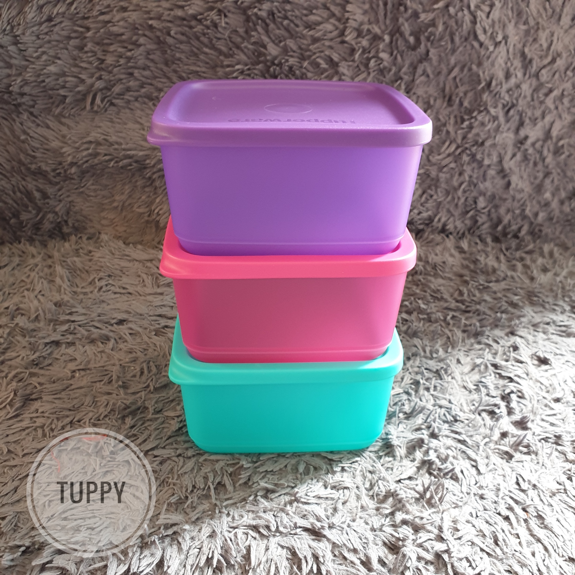 Tupperware Wadah Bekal Kotak Small summer (3) | Lazada Indonesia