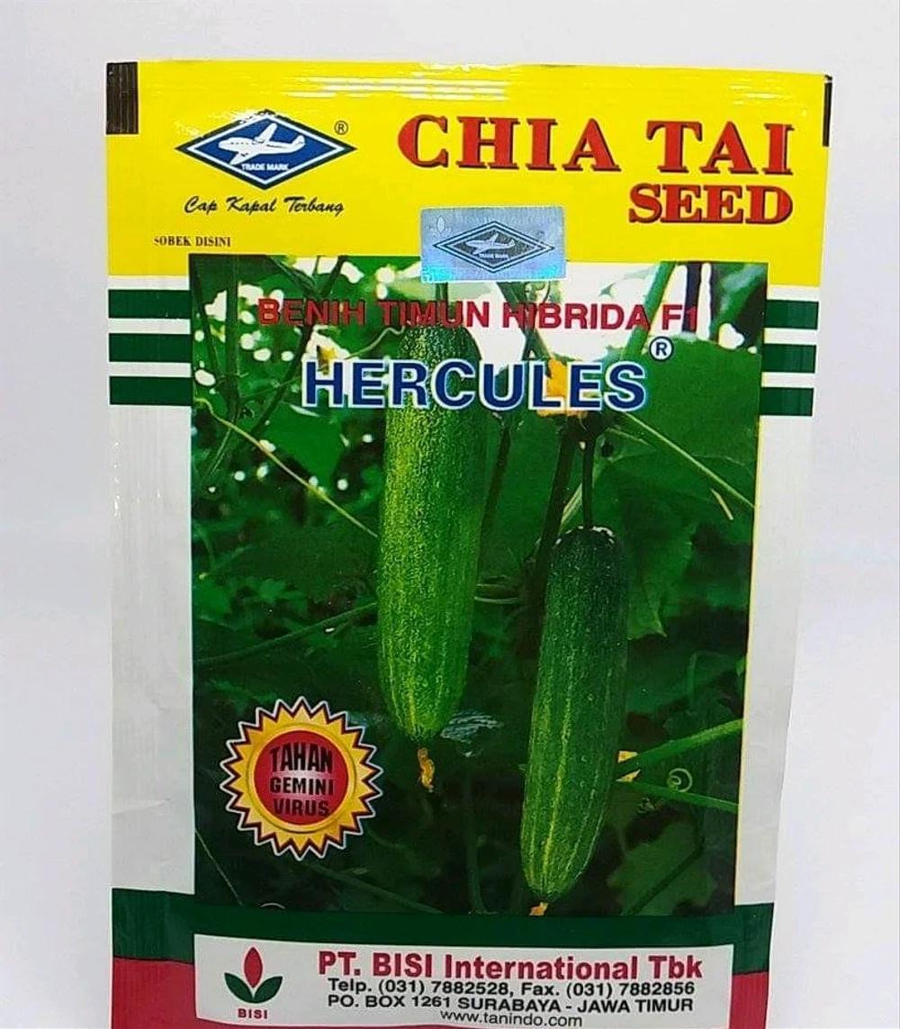 Benih Timun Hercules Hibrida F1 Bintang Berkah | Lazada Indonesia