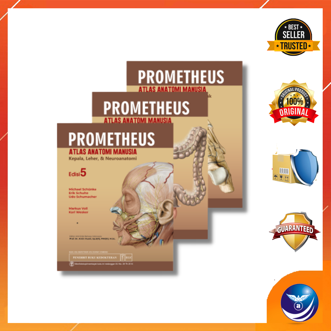 Buku Kedokteran Prometheus Atlas Anatomi Manusia, Ed. 5 - Michael ...