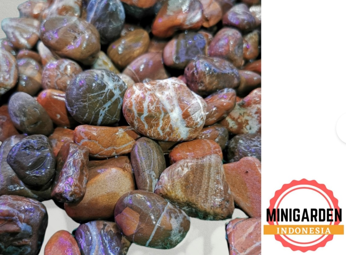 BATU KORAL MERAH HATI ZAK 10KG batu taman red pebbles merah sakit ...
