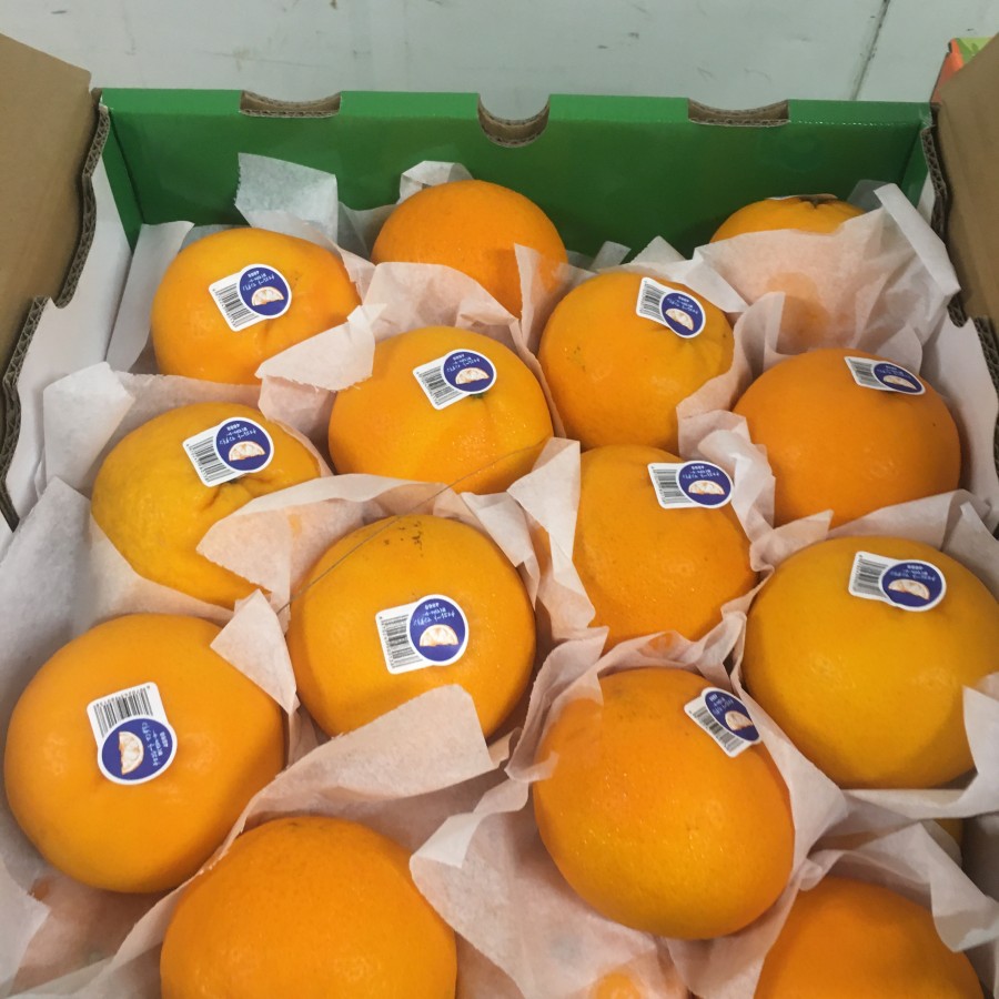 Jeruk Honey Murcot RRC Gift Box 5kg | Lazada Indonesia