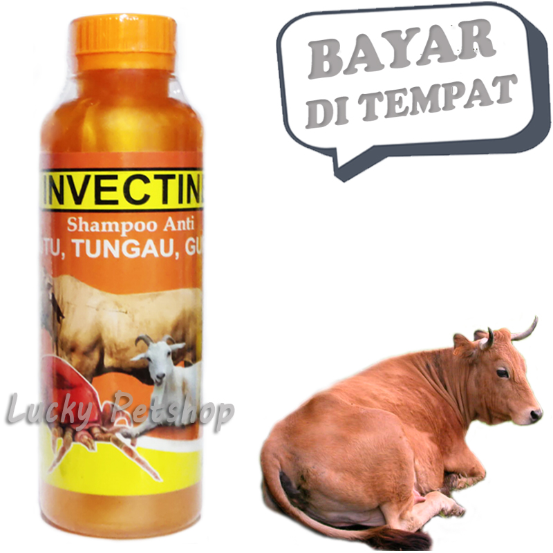 Shampoo Kutu Sapi Kambing INVECTINE Pembasmi Parasit Larva Pinjal ...