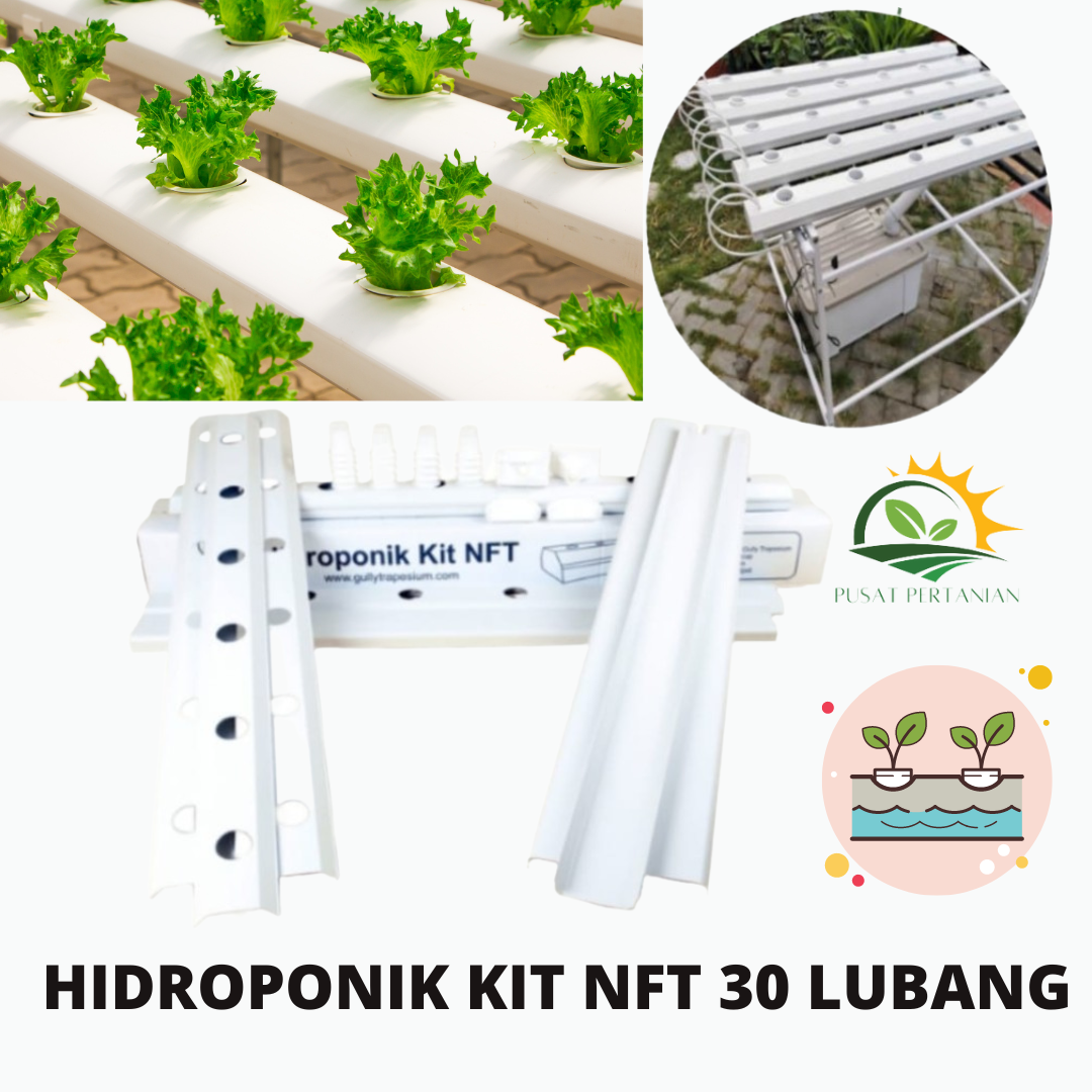 HIDROPONIK KIT NFT GULLY TRAPESIUM paket berkebun lengkap 30 lubang ne ...