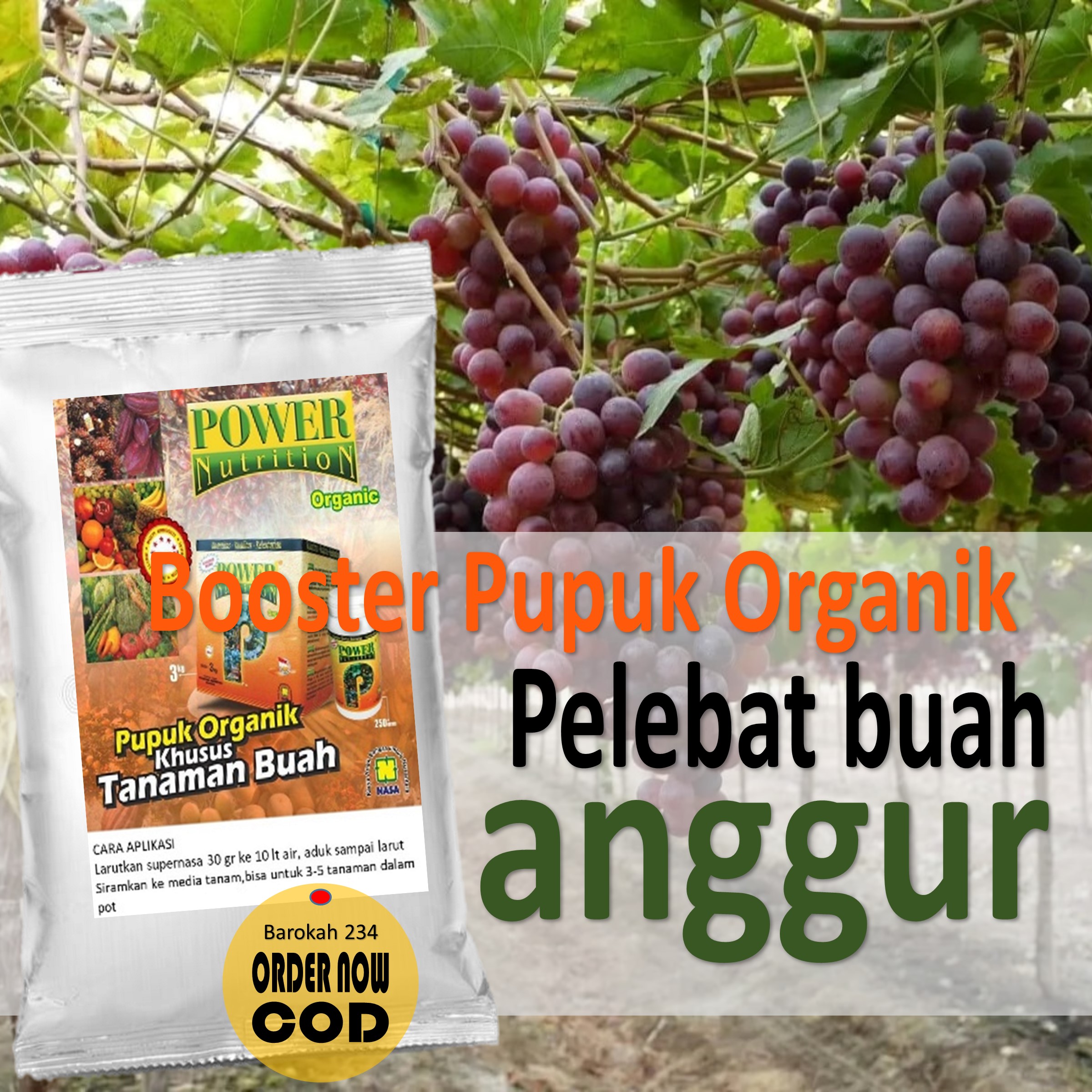 Pupuk Organik Anggur: Pupuk Penyubur Daun dan Buah Pupuk Pelebat Buah ...