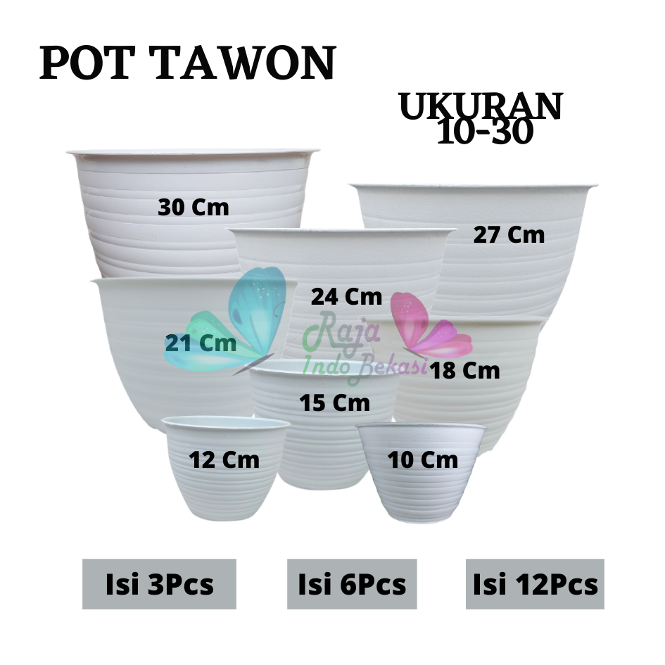 Pot Bunga Tawon Putih isi 1 3pcs/ 6pcs/12pcs Pot Besar Jumbo Pot Ukuran ...