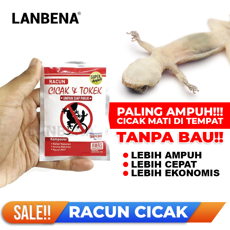 Racun Pembasmi Cicak Dan Tokek Super Ampuh - Basmi Cicak Hingga Tuntas ...