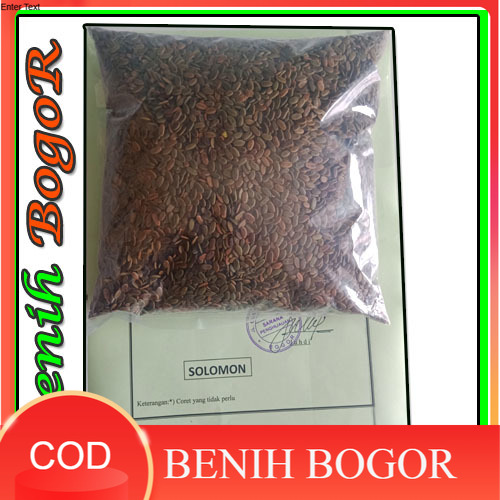 1KG BENIH BIBIT SENGON SOLOMON LENGKAP DENGAN SURAT KETERANGAN ASAL ...