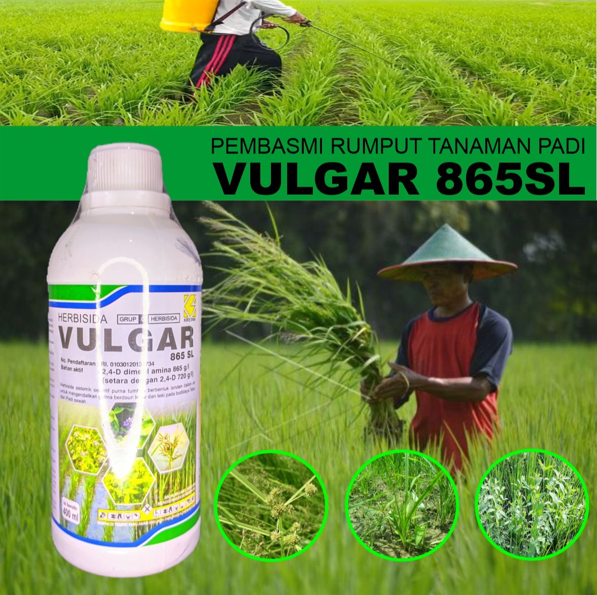 Herbisida VULGAR 865SL Pembasmi Gulma Padi 400ml | Lazada Indonesia